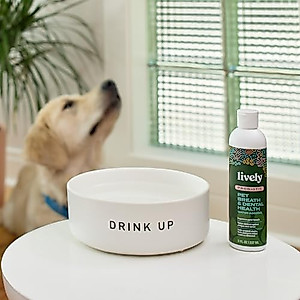 Lively Pet Breath & Dental Health Water Additive