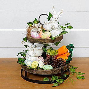 SOFFEE DESIGN 2 Tiered Serving Tray, Wood Cake Stand with Metal Handle, Rustic Farmhouse Easter Tiered Serving Tray, Tabletop Display Food Fruits Afternoon Tea Cupcake Organizer for Home Office