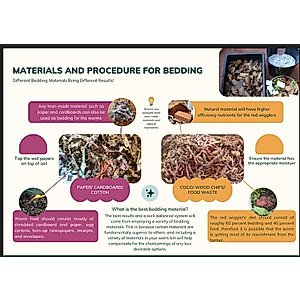 50+ Red Wigglers Composting Worms, Composting Bins