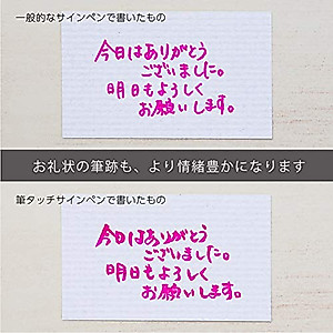 Pentel XSES15C-18ST Brush Touch Sign Pen, Set of 18 Colors