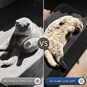 Yimobra Memory Foam Large Bathroom Rugs,Microfiber Bath Mat, Plush Shaggy Shower Mat for Bathroom,Fluffy Comfortable Water Absorbent Carpet, Non-Slip, Machine Washable,(Dark Grey, 44 X 24 Inches)