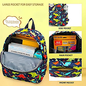 willikiva Cute Dinosaur Toddler Backpack for Boys and Girls Kids Children Preschool Bag Waterproof(Big Dinosaur)