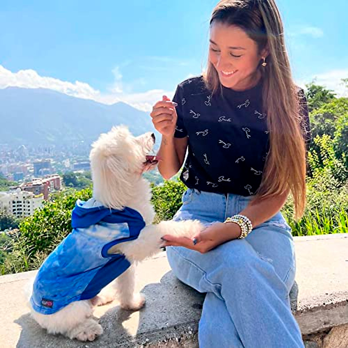 SILOPETS Puppy Clothes for Small Dogs Boy Hooded - Soft and Stretchy Small Puppy Clothes to Daily Walks - Sleeveless Puppy Clothes Boy (Sky S) Green