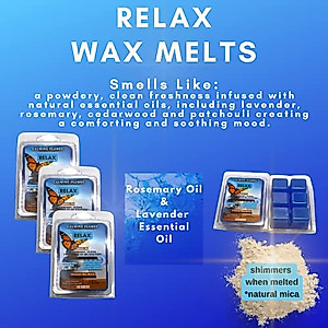 WAX MELTS | Fresh Baby Powder Scent | HIGHLY SCENTED WAX MELTS | Lasting Home Fragrance | Handcrafted in USA | (1-Pack)