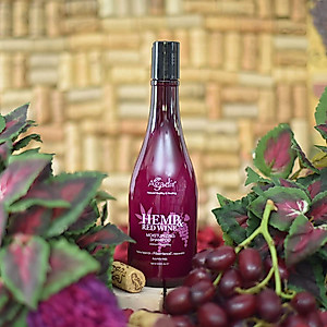 AGADIR Hemp & Red Wine Moisturizing Shampoo, 14.5 Fl Oz