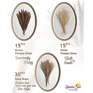 Spear SLENDERSUN Orchid Bouquet Dried Pampas Grass – Pack of 60 Pcs Tall Stems (17,7”) Soft & Fluffy Floral Bouquets Minimalist, Rustic, Luxury Home Garden Décor, White, Brown, Reed