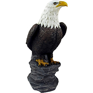 DWK - Liberty - Majestic American Bald Eagle on Rock Desk Statue Figurine Patriotic Sculpture USA Freedom Office Bookshelf Tabletop Home Decor Accent, 9-inch…