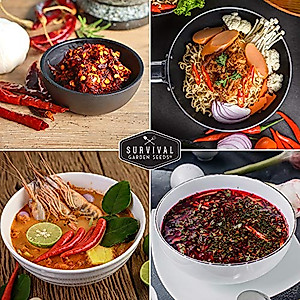 Survival Garden Seeds - Red Cayenne Pepper Seed for Planting - Packet with Instructions to Plant and Grow Hot Chili Peppers in Your Home Vegetable Garden - Non-GMO Heirloom Variety - Single Pack