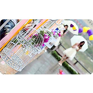 PET SHOW Round Birdcages Wedding Gift Cards Holder Metal Wall Hanging Bird Cage for Small Birds Party Indoor Ourdoor Decoration 10.6“ Black Pack of 1