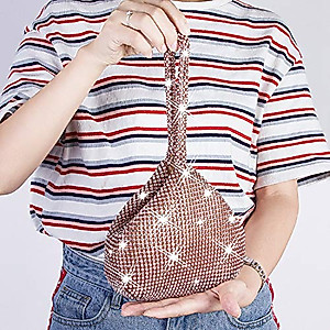 CROWN GUIDE Women's Vintage Evening Bags Clutches Bling Beaded Wedding Party Gowns Formal Prom Purses Handbags With Wristlet Champagne