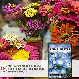 Sow Right Seeds - Baby Blue Eyes Flower Seeds for Planting - Beautiful Flowers to Plant in Your Home Garden - Indoors or Outdoors - Non-GMO Heirloom Seeds - Attract Pollinators - Great Gardening Gifts