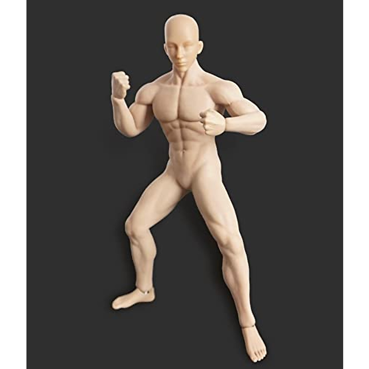 HiPlay TBLeague 1/6 Scale Seamless Male Action Figure Body- 12 Inch Super Flexible Collectible Figure Dolls (M30)