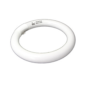 CHKADAWA FC9T9 9 inch Circline Light Bulbs T9 30W, FCL30 Circular Fluorescent Lamp Round 30 Watts Bulb Replacement for Ceiling Fan Fixture, Daylight DL 6500K, G10q 4 Pin Base, 2 Pack