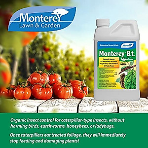 Monterey LG6135 Garden Insect Spray, Insecticide & Pesticide with Spinosad Concentrate, 32 oz
