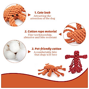WishLotus 2Pc Dinosaur and Duck Shaped Dog Toys for Aggressive Chewers, Cotton Dog Chew Toys for Small to Large Breeds (Crab+Lobster)
