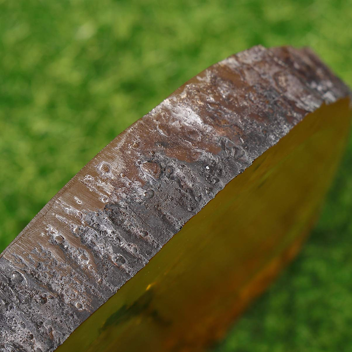 Amber,Artificial Amber Specimen Pendant Butterfly Scorpions Insects Amber Stone Ornament for Collection(Dragonfly)