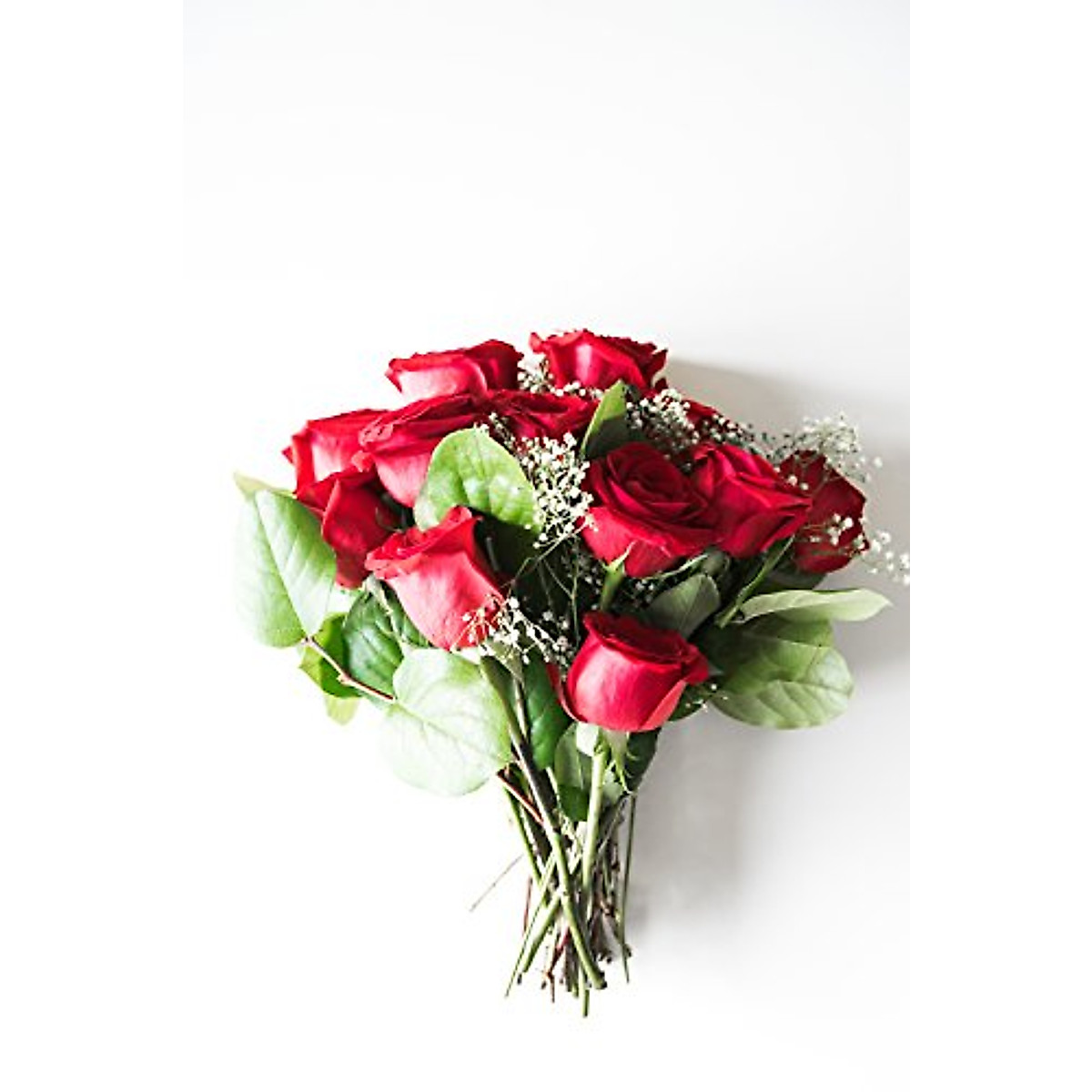 From You Flowers - One Dozen Long Stemmed Red Roses with Free Vase (Fresh Flowers) Birthday, Anniversary, Get Well, Sympathy, Congratulations