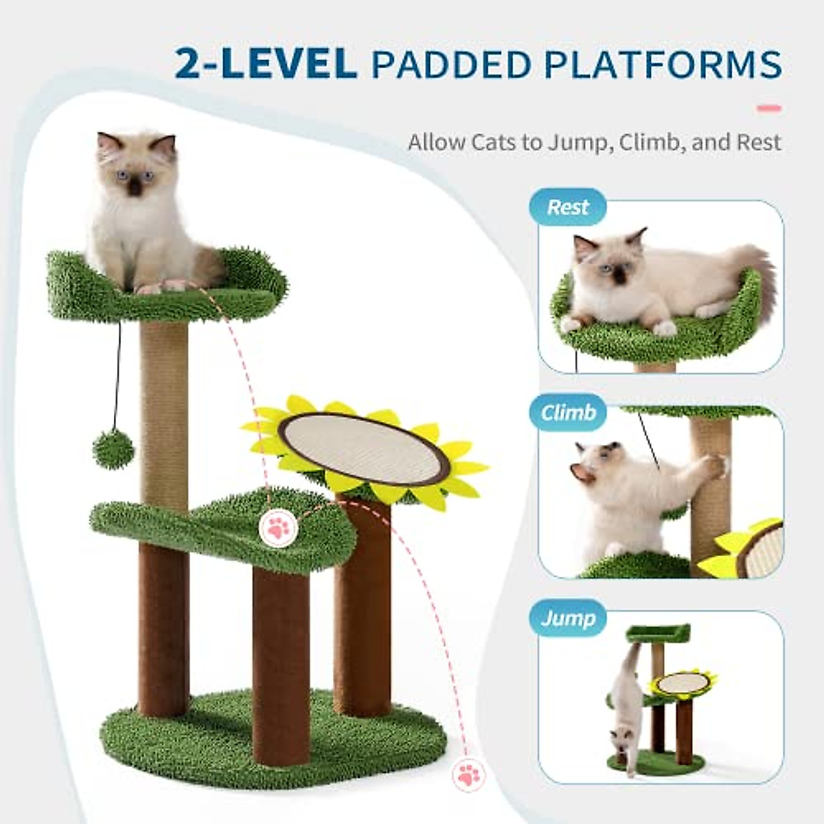 Made4Pets Cactus Cat Tree, Green Cat Tower with Plush Perch for Small Indoor Kittens, Cat Scratcher with 2 Levels Platform for Kitty, Sunflower Scratching Pad and Sisal Post