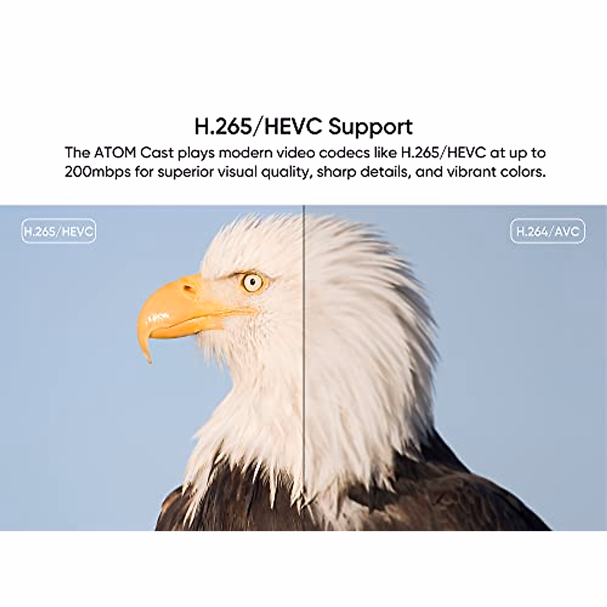 NEUMI Atom Cast 4K UHD Dongle Stick Digital Media Player, Wi-Fi Screen Mirroring Video/Photo/Music Casting and DLNA/UPnP Streaming, Reads USB Drives and Micro SD Cards, HEVC/H.265 4K/30fps, HDMI