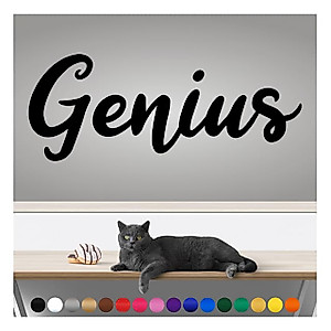 Transform Your Walls with Professional Grade, Outdoor Weatherproof Vinyl Stickers - Happy Sunday - UV Resistant, Made in The USA! Inspirational Words: Genius: 14 Inch, Satin Silver