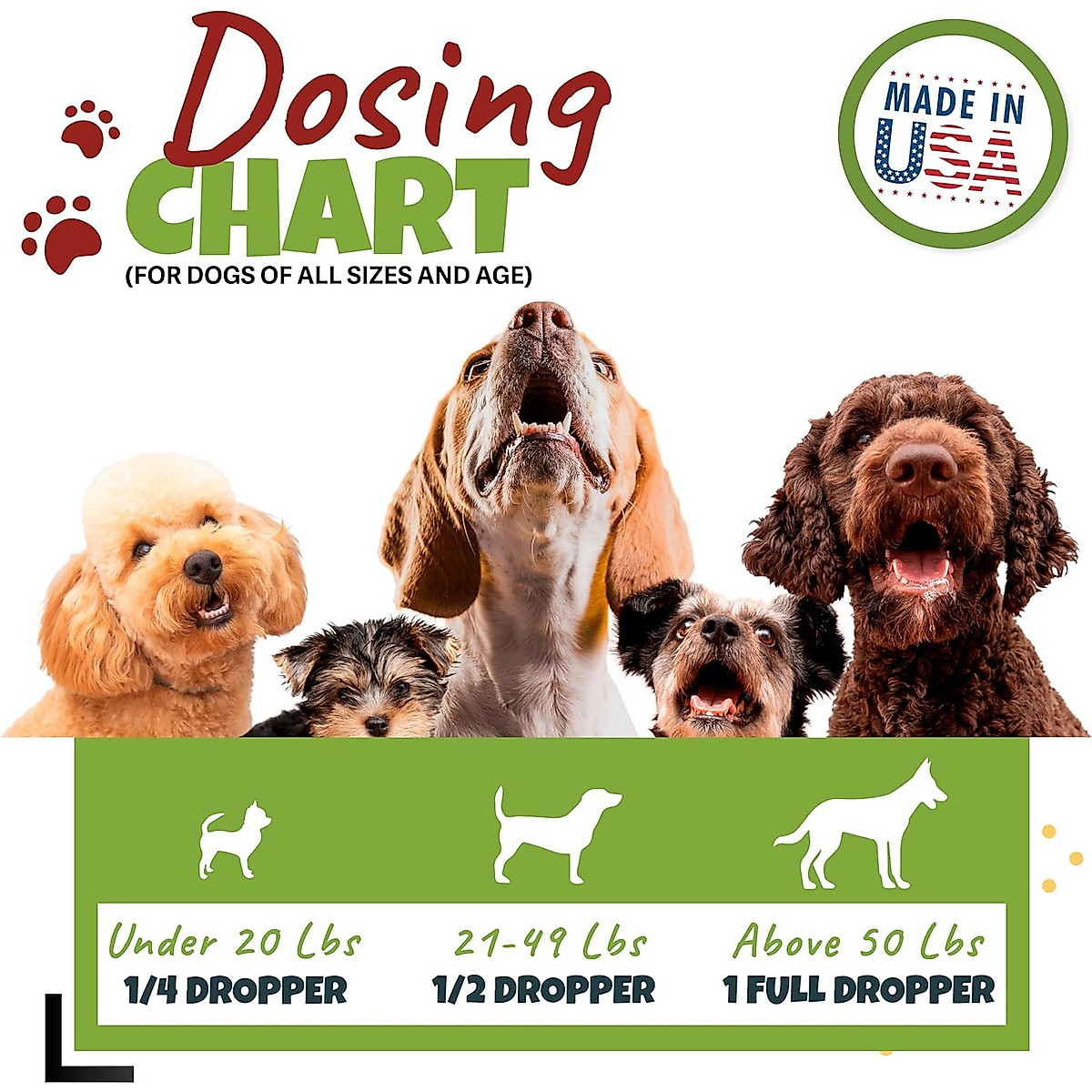 (2 Pack) Latocann Hemp Oil for Dogs and Cats: Natural Relief for Pet Anxiety, Joint Pain, and Digestive Health for Dogs and Cats