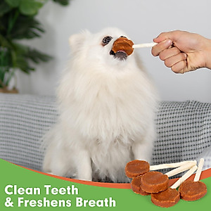 MON2SUN Lollipop Dog Treats, 4.5 Inch Chicken and Egg with Rawhide Twist Sticks, Healthy and Teeth Cleaning Dog Snacks for Small Dogs, 10.58oz (15 Count-Pack of 1)