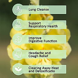 Organic Mullein Leaf Tea Lung Detox Cleanse Tea, 20 Tea Bags
