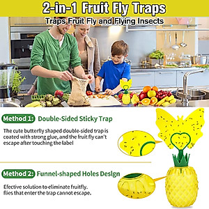 Fruit Fly Trap with Sticker, Effective Gnat Traps for House Indoor, Non-Toxic Reusable Fruit Fly Gnat Killer Fly Catcher, Comes with Attractant