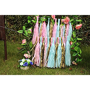 15 PCS Tissue Paper Tassels Set of 2 Tassel Garland Banner for Wedding, Baby Shower, Festival Items & Party Decoration, DIY Kits(Matte Gold+Pink+Blue)