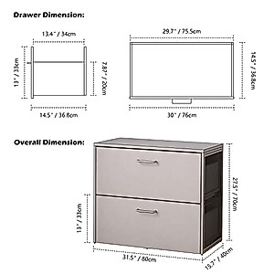 TOPSKY 2 Drawers Wood Lateral File Cabinet for Letter Size/A4/Legal File Full Extension Soft Close Concealed Slide (Black)