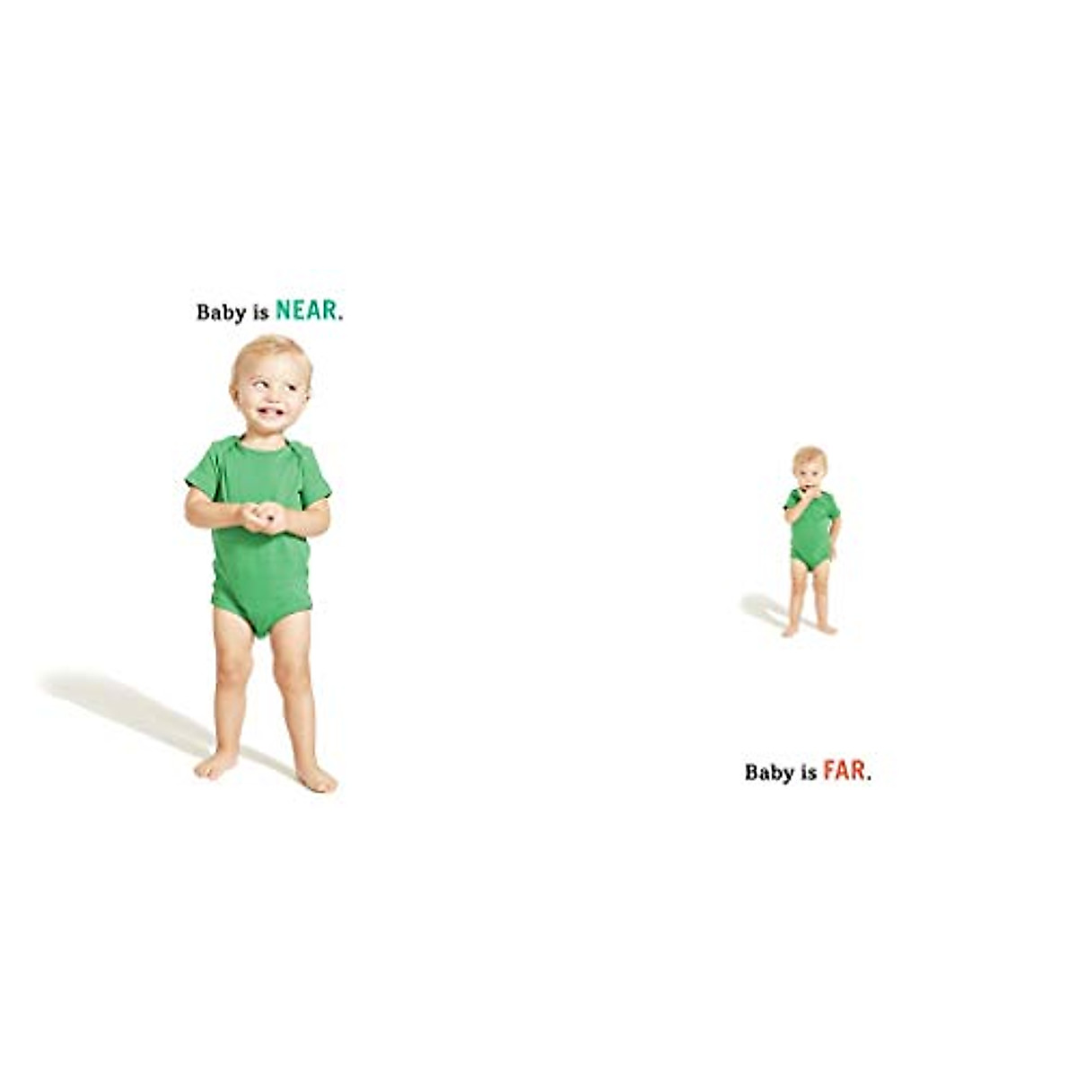 Baby Up, Baby Down: A First Book of Opposites (Baby Loves Books)