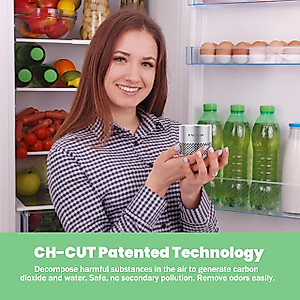 Exluvon Fridge Deodorizer Odor Eliminator Lasts for 10 Years Refrigerator Deodorizer,Silver Gray