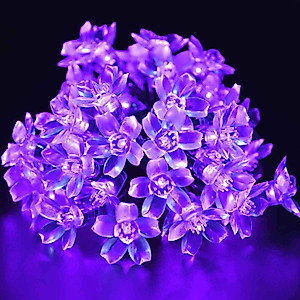 Qedertek Solar String Lights, Cherry Blossom 22ft 50 LED Waterproof Flower Outdoor String Lights for Patio,Lawn,Garden,Holiday,Halloween Solar Lights,and Festivals Decorations (Purple)