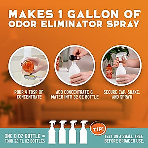 ANGRY ORANGE Pet Stain and Odor Remover - 2 Spray Pack - 32 oz Dog, Ferret, Rabbit & Cat Urine Enzyme Cleaner - 8 oz Strong Pet Odor Eliminator Concentrate - for Pee on Carpet, Furniture, Tile, Wood