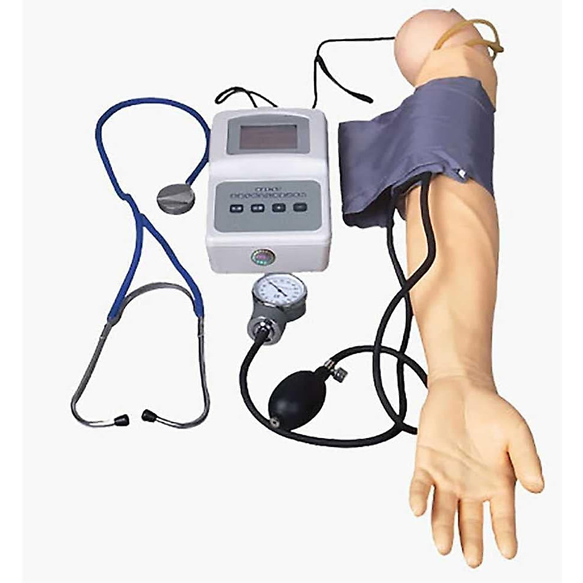 Advanced Blood Pressure Training Arm Model Blood Pressure Training Arm Simulator Manikin for Patient Education and Teaching Training Skills