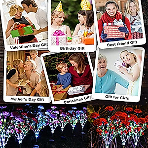 BeHiller Carnations Solar Flower Light Outdoor Decor,42Red Flowers Gifts for Grandma,Birthday,Mom Gifts Garden Pathway Lights,Unique Gifts Solar Decorative Lights for Patio,Grave Cemetery Yard-2Pack