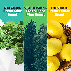 Goodbye Naturally Glass Cleaner, All Surface Cleaner and Floor Cleaner, Safe and Effective All Natural Cleaning Products, 14 oz Continuous Spray Cans, 3 Pack