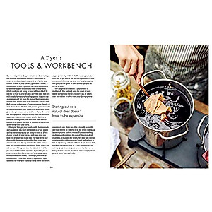 The Wild Dyer: A Maker's Guide to Natural Dyes with Projects to Create and Stitch