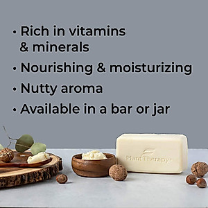 Plant Therapy Organic African Shea Butter Raw, Unrefined USDA Certified16 ounce Bar 100% Pure, Natural Moisturizer For Dry, Cracked Skin, Best for DIY