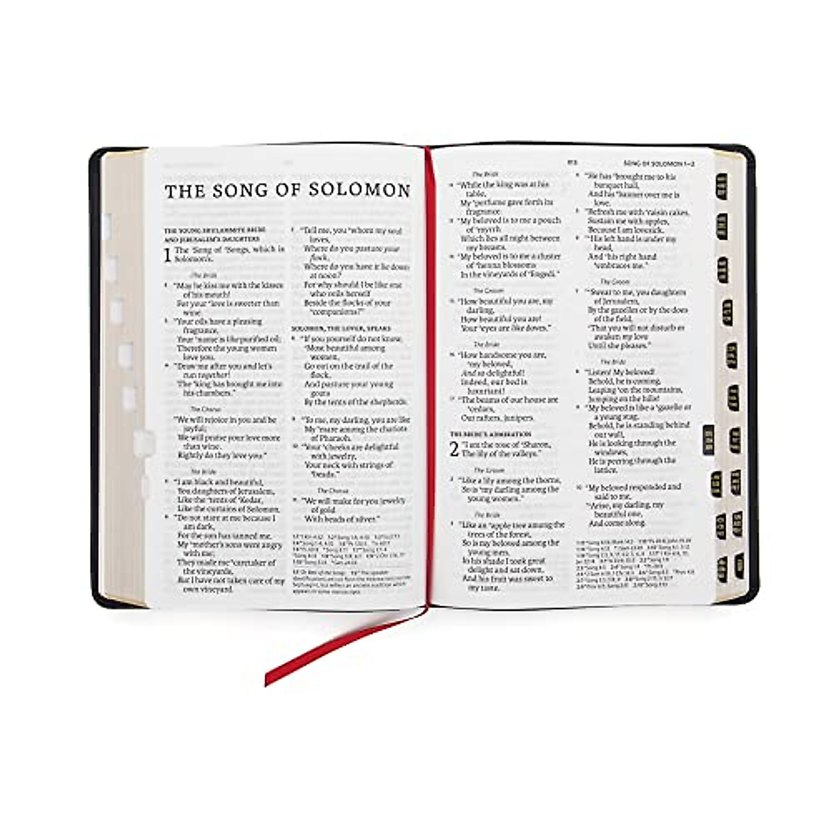 NASB Super Giant Print Reference Bible, Black Genuine Leather, Indexed, Red Letter, Presentation Page, Cross-References, Full-Color Maps, Easy-to-Read Bible Karmina Type