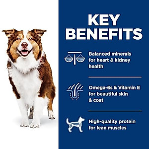 Hill's Science Diet Senior 7+ Chicken Meal, Barley & Brown Rice Recipe Dry Dog Food, 5 lbs.