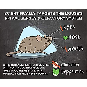 Grandpa Gus's Extra-Strength Mouse Repellent, Cinnamon/Peppermint Oils Repel Mice from Nesting & Freshen Air in Car/RV/Boat/Garage/Shed/Cabin, 1.75 Oz (4 Pouches)