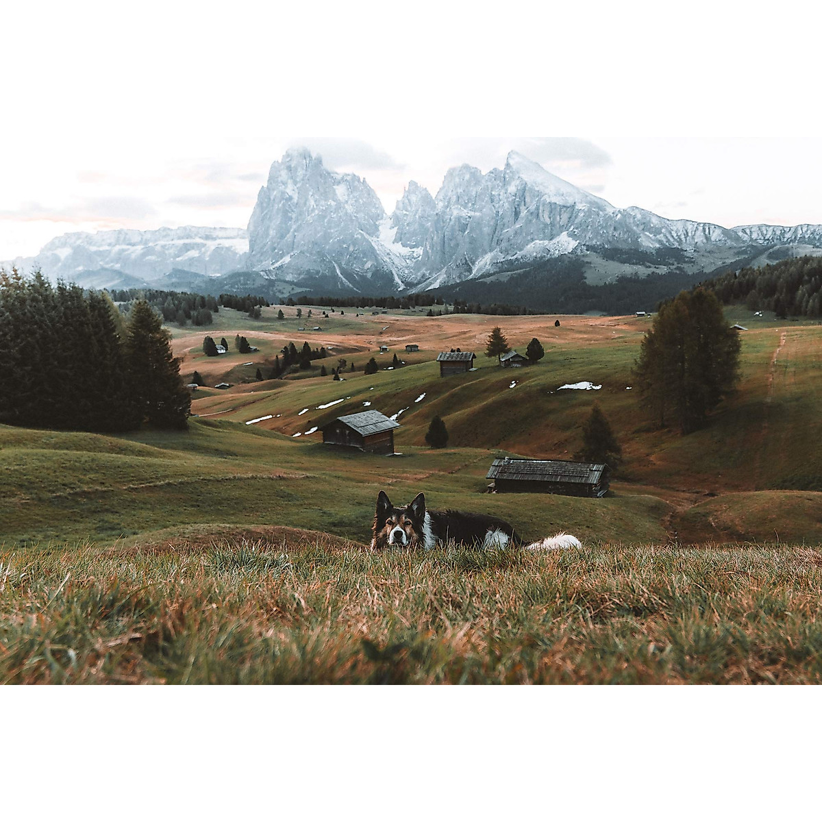 TAMRON 17-70MM F/2.8 DI III-A VC RXD FOR SONY - REFURBISHED