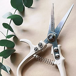 LOOPSEED Plant Pruning Shears Garden Trimming Scissors Precision Hand Pruner Herb Snips Flower Clippers Bonsai Trimmers Straight Sharp Blade Tapered Tip Ergonomic Handle Garden Tools (Classic Cream)