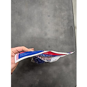 Outdoor Fly Traps. 2 Natural Pre-Baited Fly Bags - Disposable Big Bag Fly Trap Bag Fly Catchers. Stable Horse Ranch Fly Trap. Disposable Outdoor Hanging Fly Killer