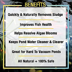 MICROBE-LIFT MLXSAG6 Sludge-Away Pond and Outdoor Water Garden Sludge and Muck Remover, Safe for Live Koi Fish, Plant Life, and Decor, 1 Gallon