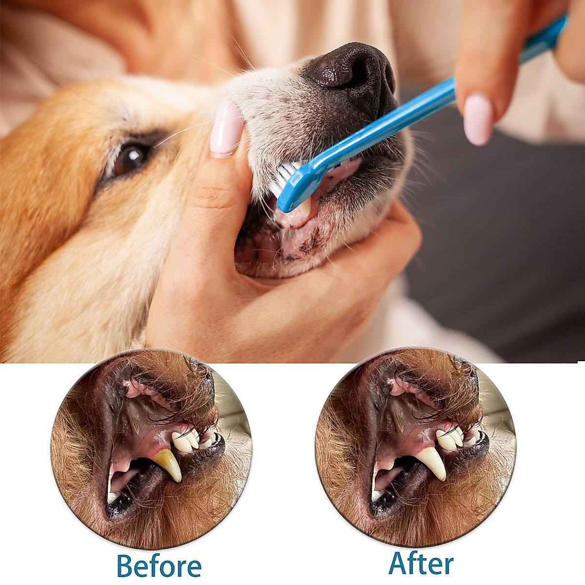 AZOFFYIU Dog Toothbrush Set, Triple Head Dog Toothbrushes, Double Head Toothbrush,Finger Rubber Toothbrushes,Multi-Angle Dental Cleaning Brushes for Dog Cat Oral Dental Health