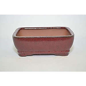 Bonsai Ceramic Pot 7", Burgundy Color, Rectangle Shape, Glazed with draining Holes.