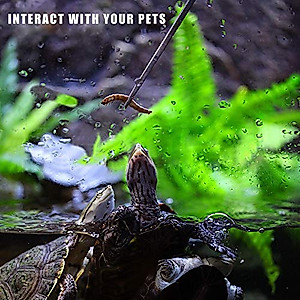 Longjet Feeding Tongs, 2 Pcs 10.6 Inch Stainless Steel Long Tweezers Forceps, for Reptile Lizards, Gecko, Bearded Dragon, Snake, Turtle Feeder and Aquarium Aquatic Plant Bonsai Starter Tools