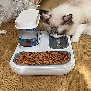 Kattypet Gravity Cat Water Dispenser and Food Bowl, Automatic Cat Water Bowl with Extra Food Feeder for Cats and Small Dogs, Purified Water Quality (Pearl White)